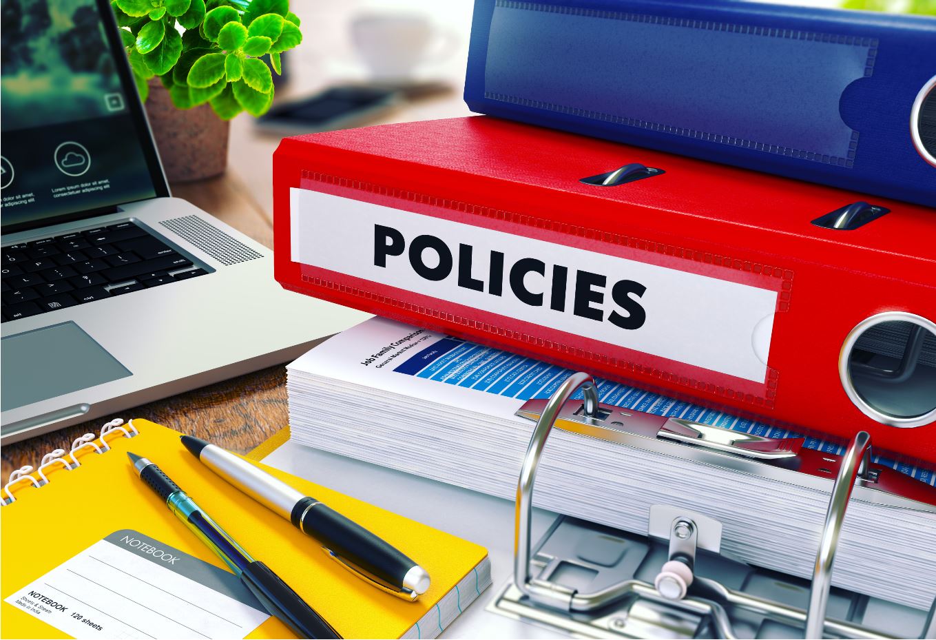 Updated / Local Policies | Planning Scheme Amendment C203port (Planning ...